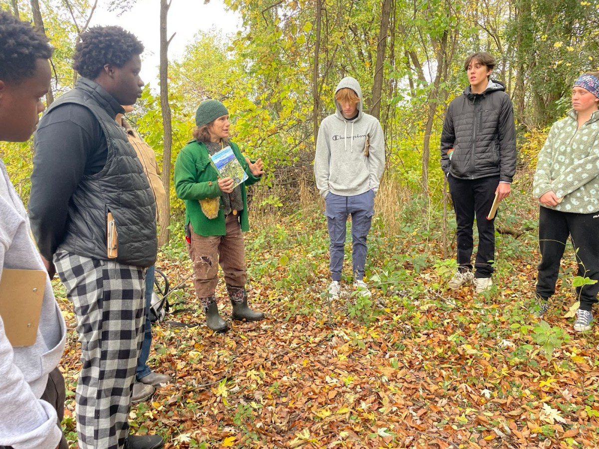 Toxic land – Burlington City & Lake Semester